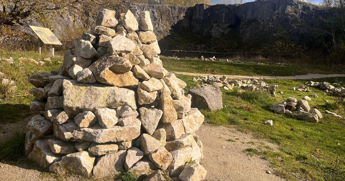 Advancing the Centre of Excellence plans | Agg-Net