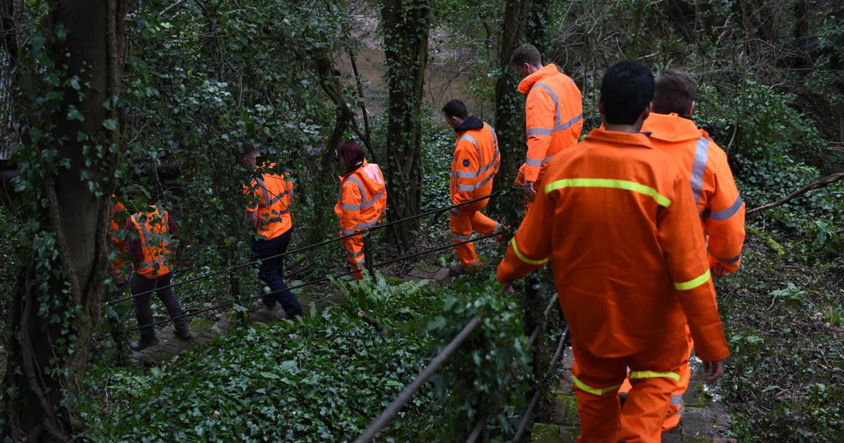 Empowering talent for a sustainable future | Agg-Net